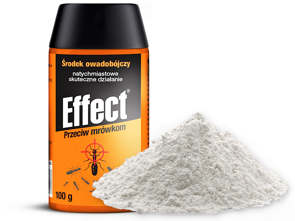 Proszek na karaluchy preparat, środek Effect 100g.